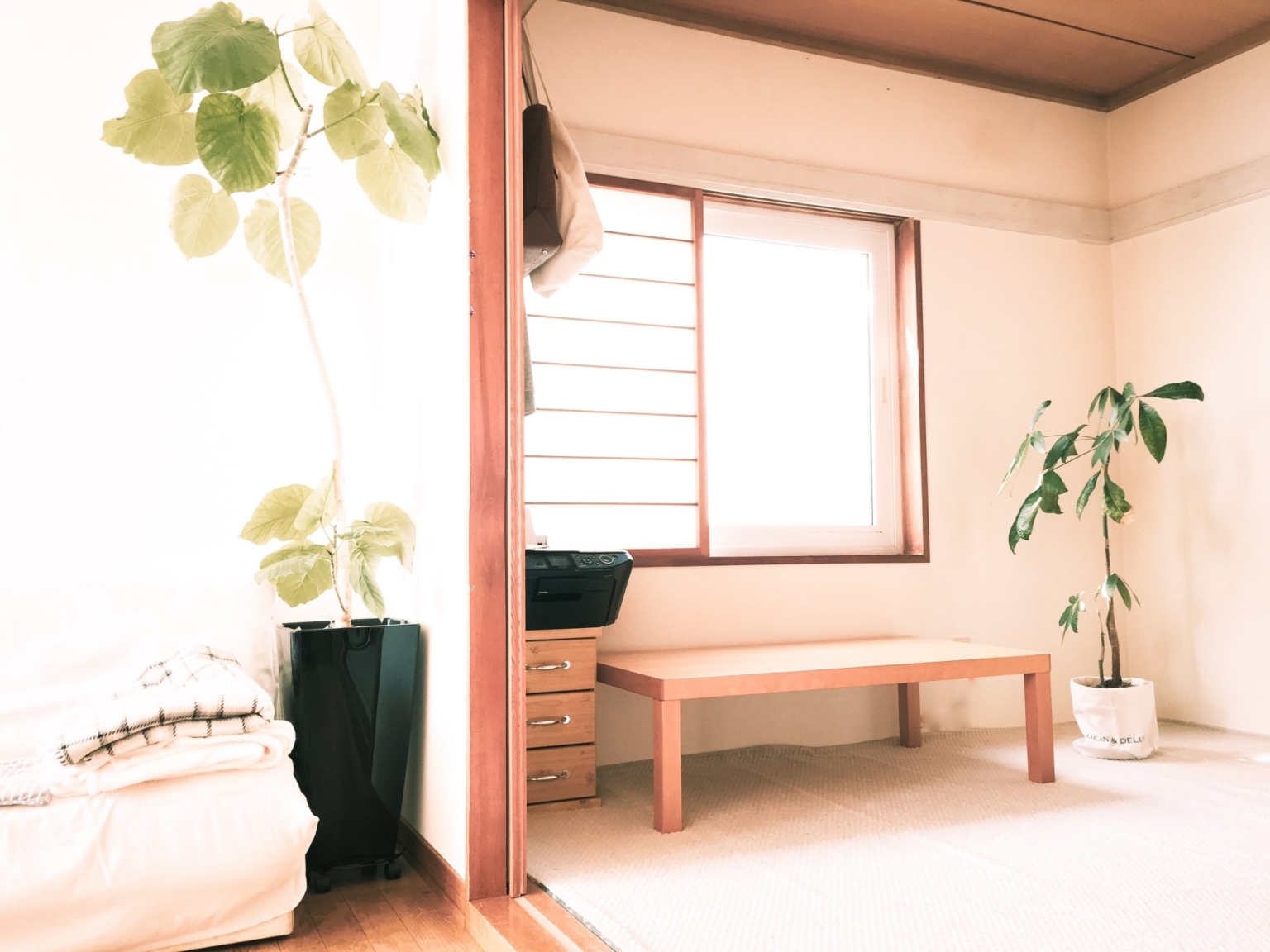 【簡単】特区民泊とは旅館業法の除外特例！6つの特徴と認定地域一覧・設備要件を解説 – 民泊総合研究所